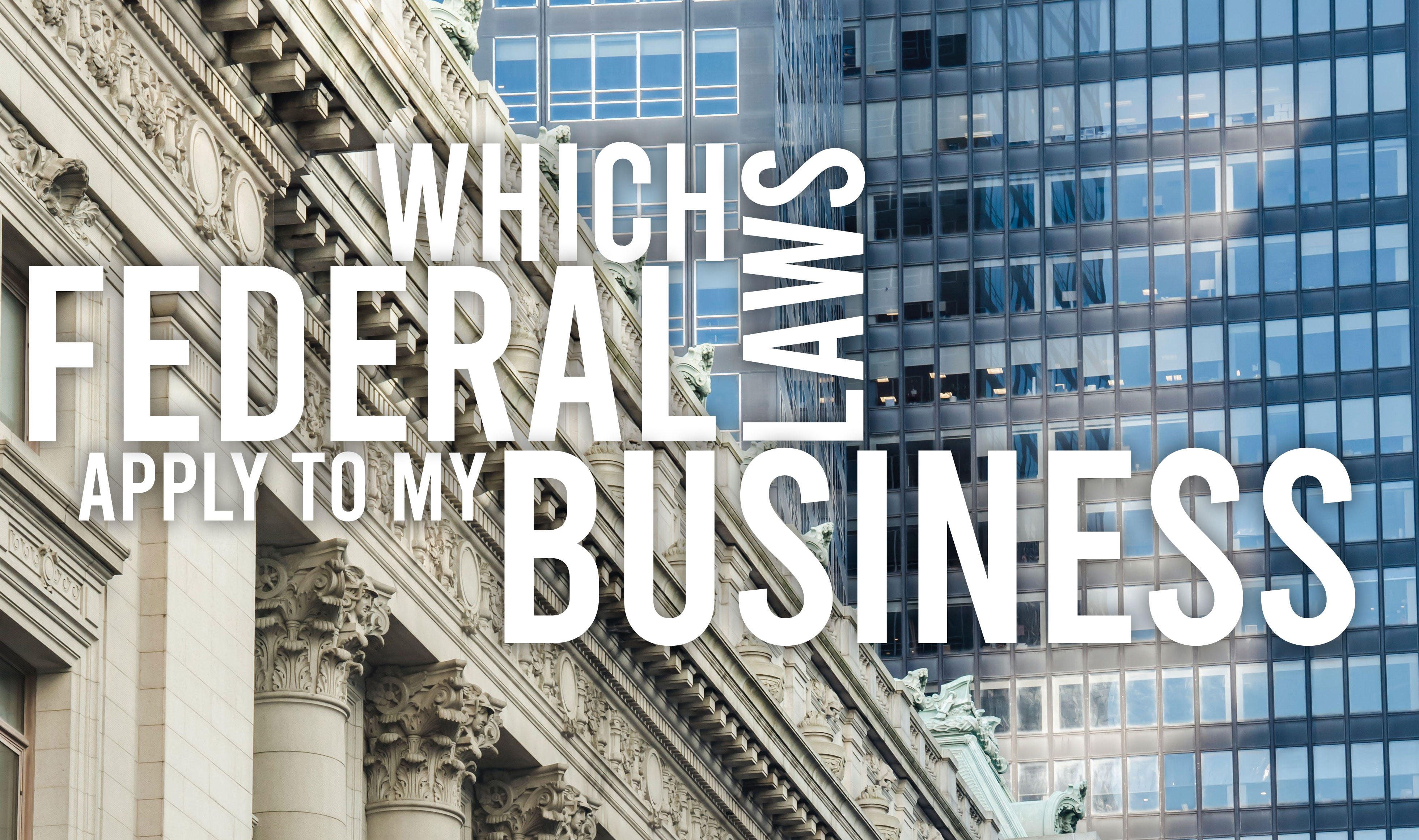 A guide to which federal employment laws apply to your company.